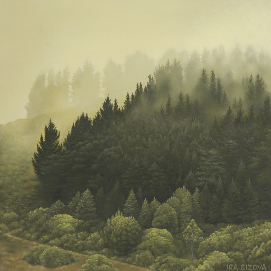 urumau-reserve – BACKCOUNTRY STUDIO