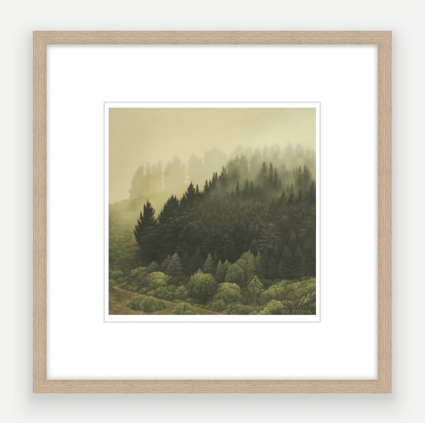 Urumau Reserve – BACKCOUNTRY STUDIO